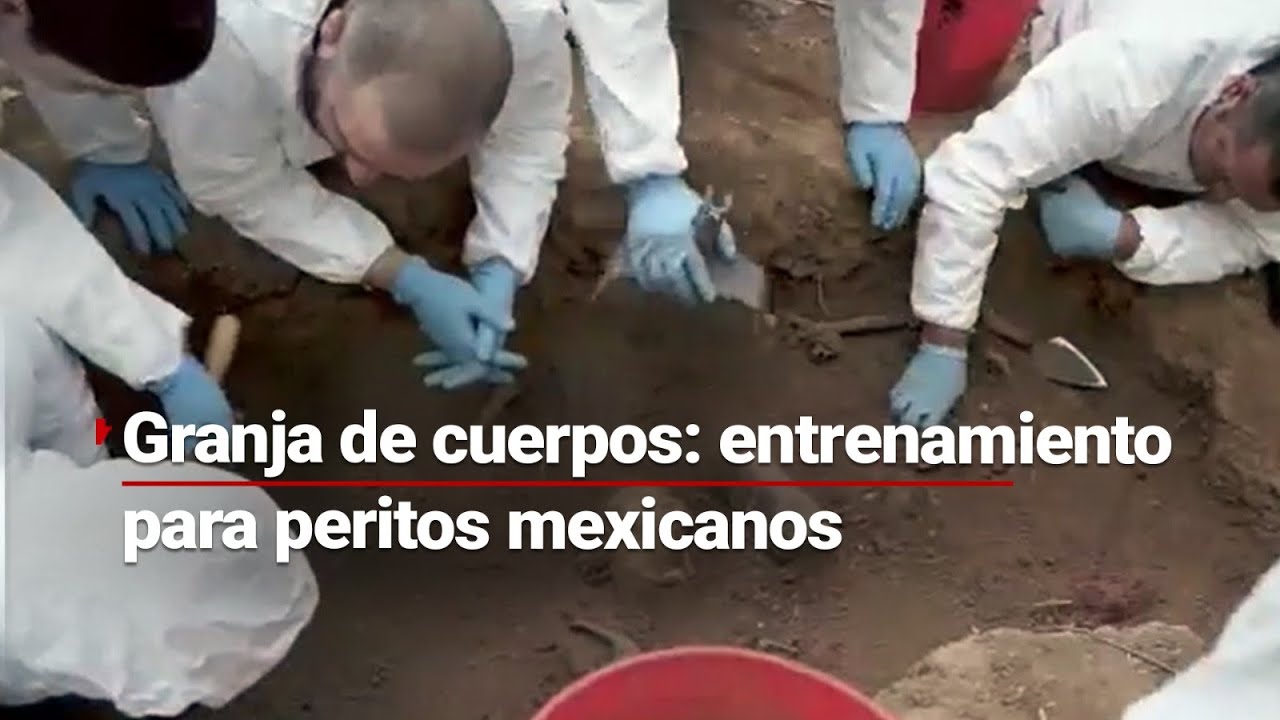 ¿Qué son las Body Farms o Granjas de Cadáveres?